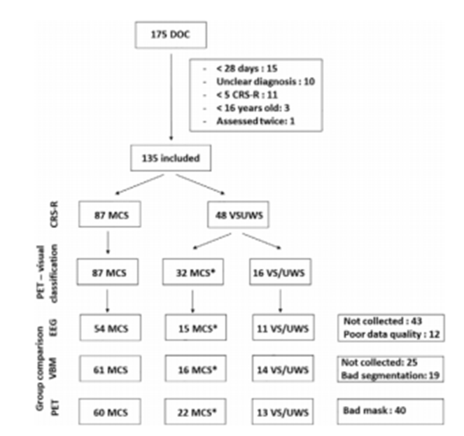 行为无反应患者大脑活动有助于识别MCS患者-千蝶医学