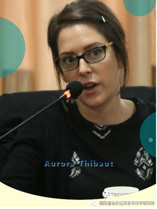 Aurore Thibaut：意识障碍患者非侵入式脑刺激研究-千蝶医学-意识障碍评估